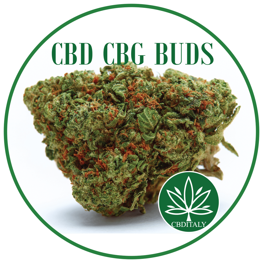 Mājas - CBDITALY Latvija